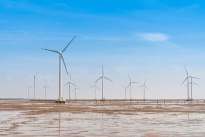 Wind Farm Model: Step-by-Step Guide – Models Hub