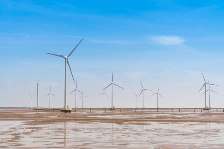Wind Farm Model: Step-by-Step Guide – Models Hub