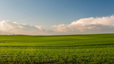 Farm Financial Model: Step-by-Step Guide – Models Hub