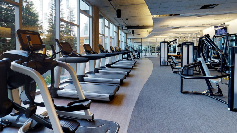 Startup Gym Financial Model: Step-by-Step Guide Hub